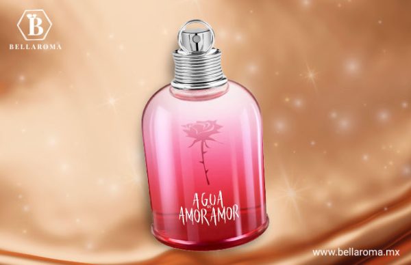 Top 25: Los Mejores Perfumes para Atraer el Amor de un Hombre 💘